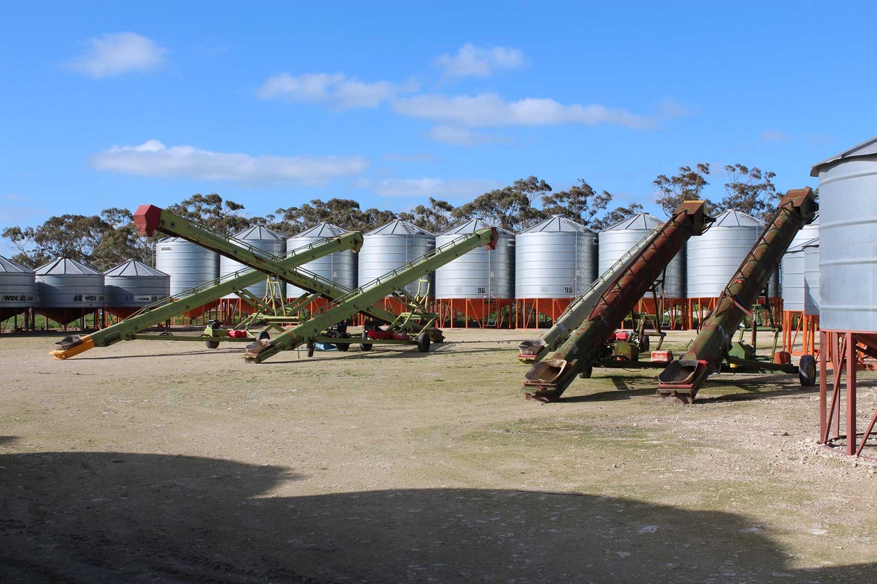 Tatiara Seeds: Services: Seed Drying