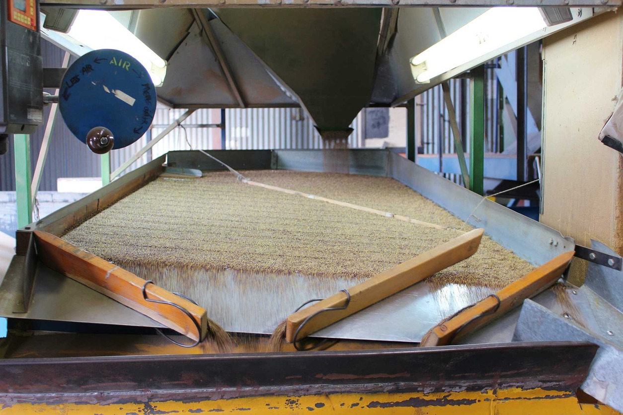 Tatiara Seeds: Services: Seed Processing